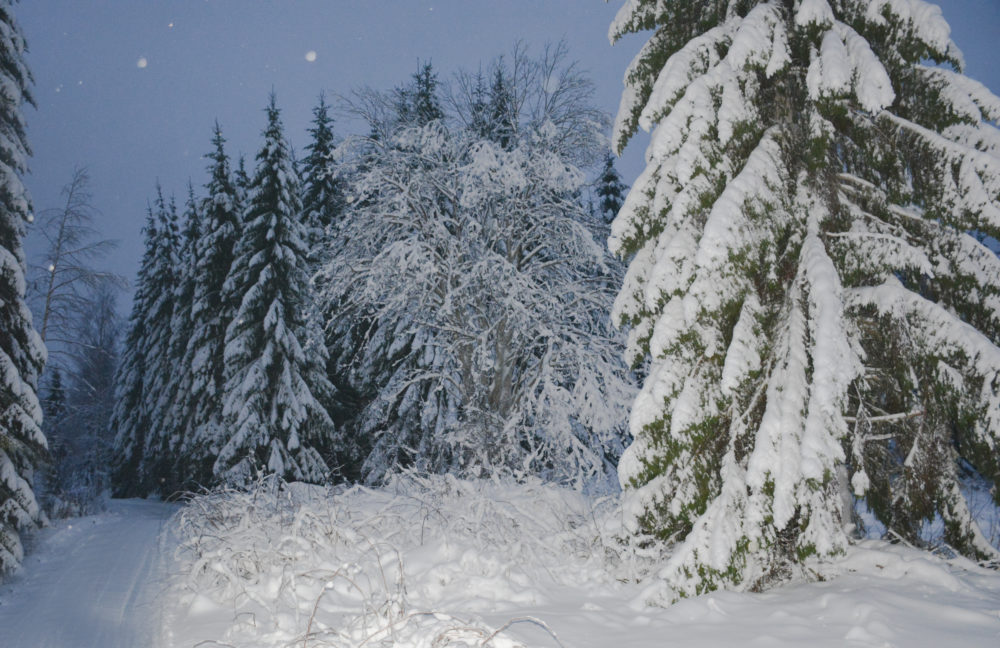 Talvinen on joulumaisema.