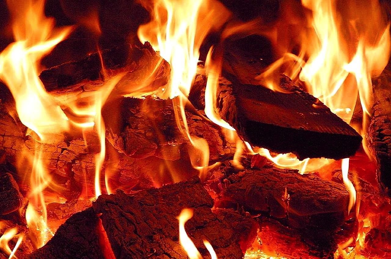 Suomen Luonto - Lannoite