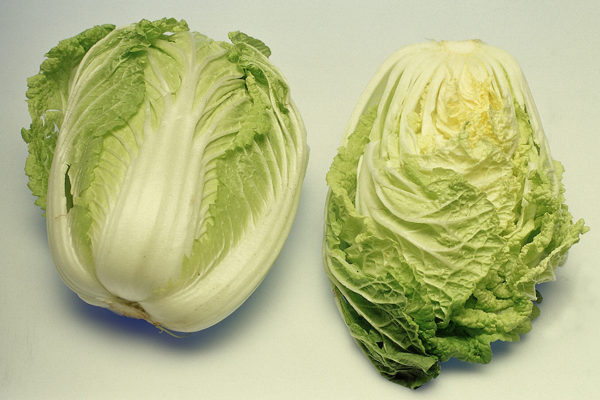 Suomen Luonto - Kiinankaali