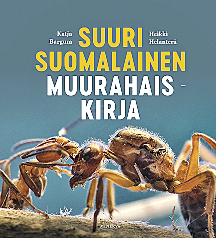 Suomen Luonto - Muurahaiskeko