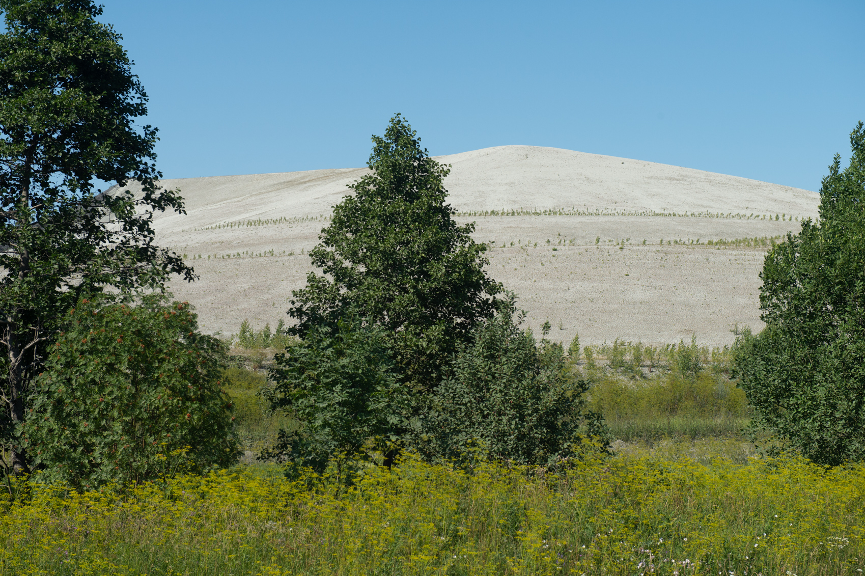Kivihiili, turve, palava kivi ja luonto