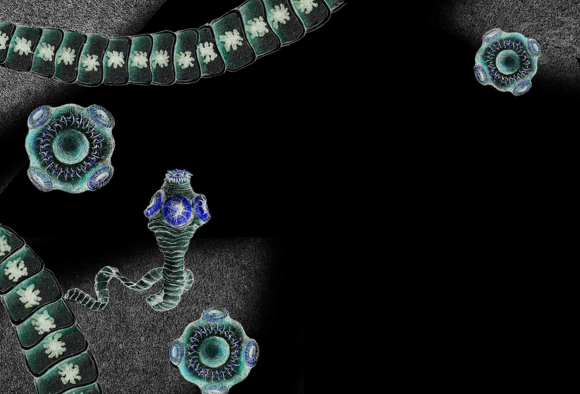 Suomen Luonto - Malaria