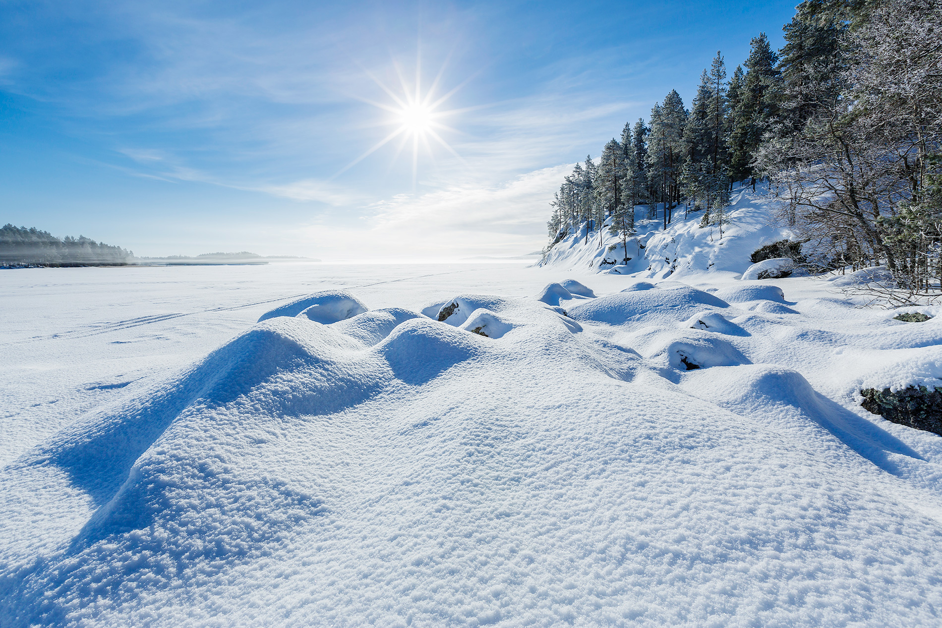 Suomen Luonto - Interglasiaali