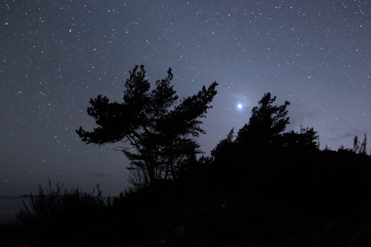 Hämärän hetkistä pimeyteen