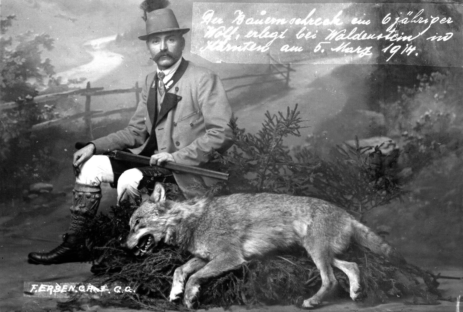 Suomen Luonto - Koira