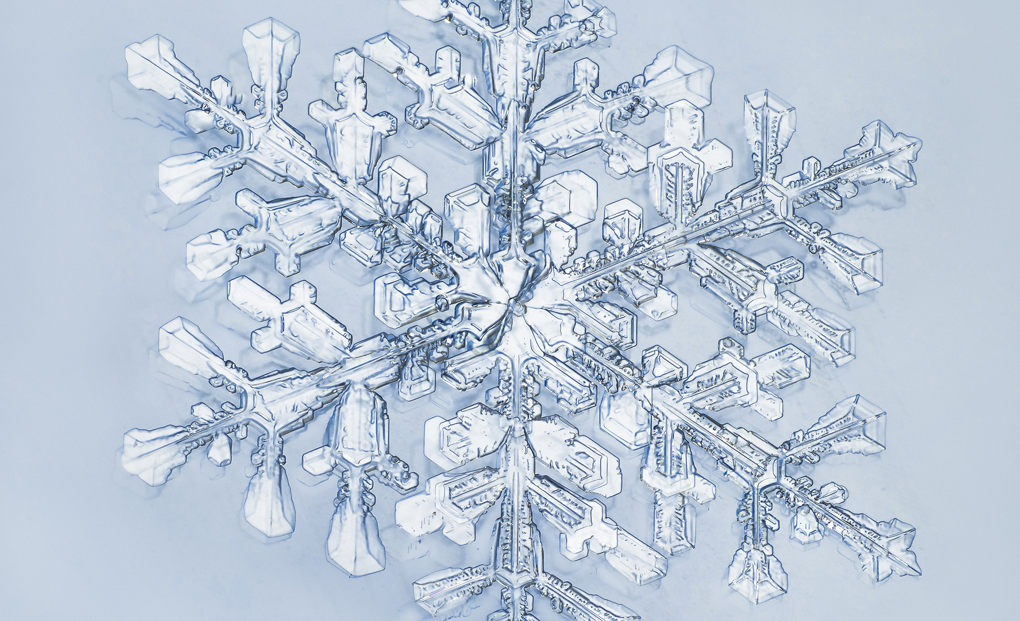 Suomen Luonto - Lumikide