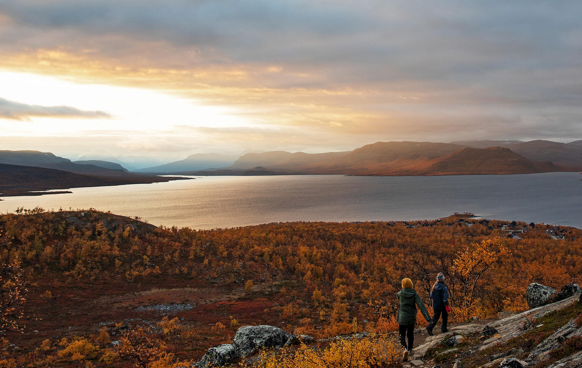 Suomen Luonto - Uusi-lehti
