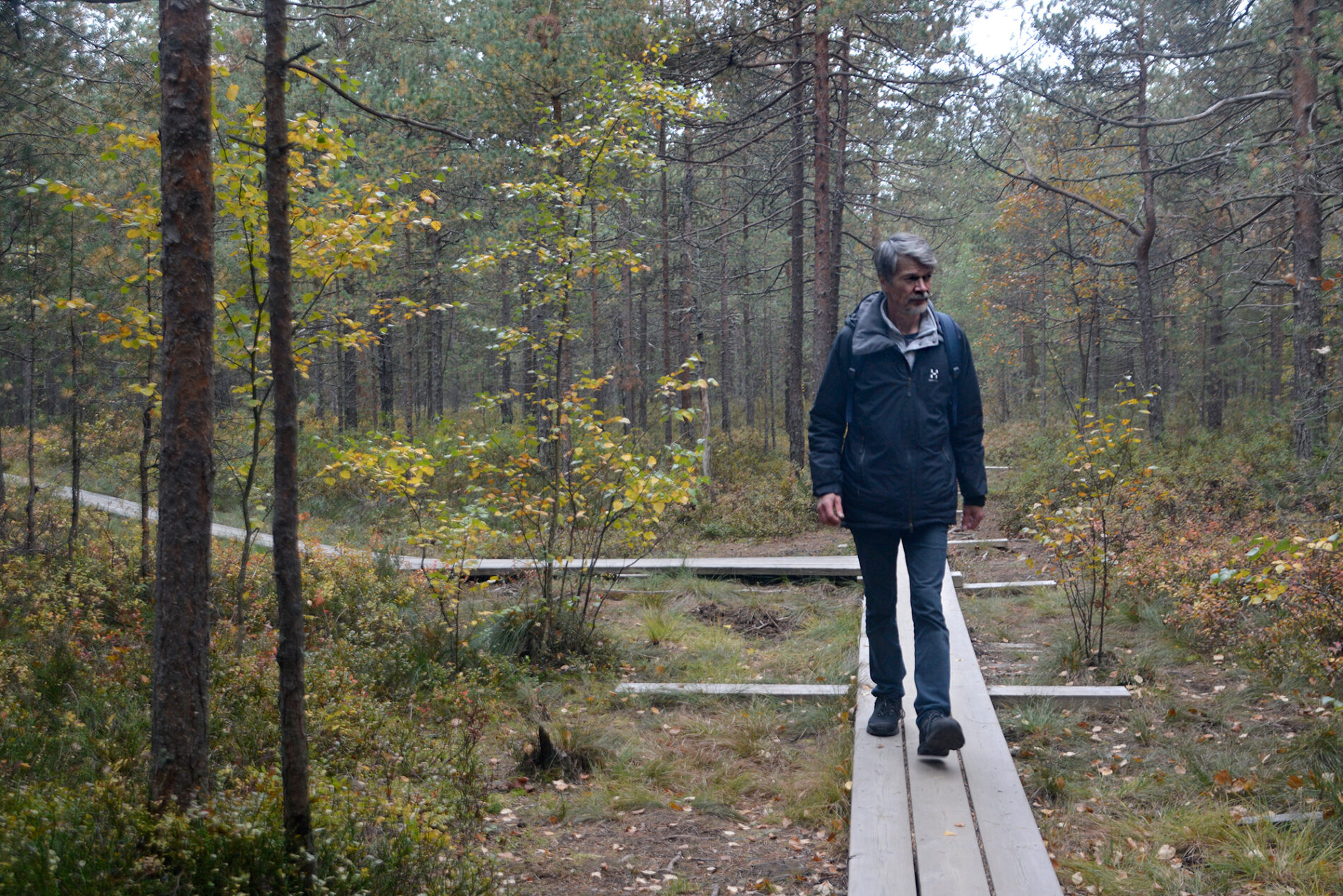 Alussa oli suo, kuokka – ja nyt lajikato