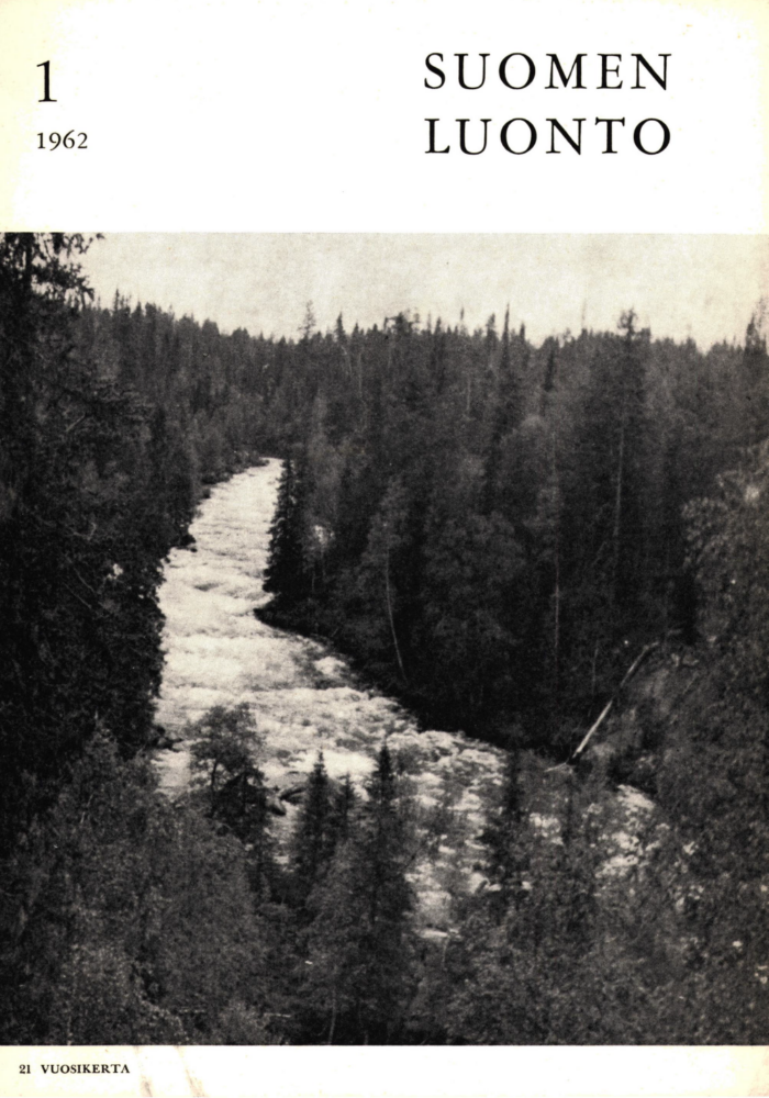 Suomen Luonto 1/1962