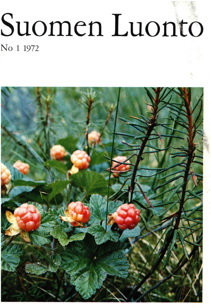 Suomen Luonto 1/1972