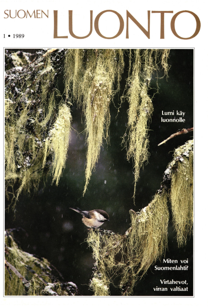 Suomen Luonto 1/1989