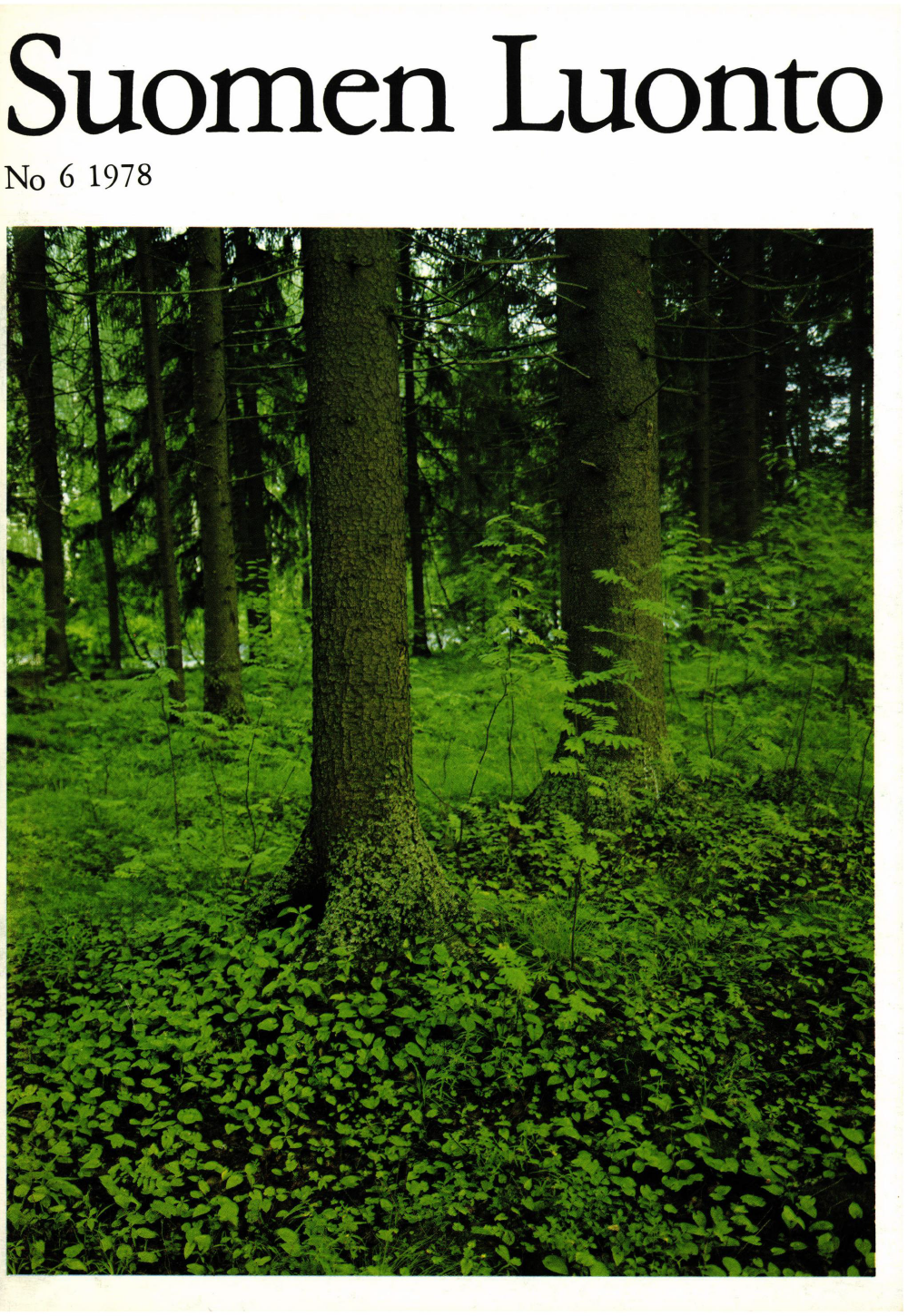 Suomen Luonto 6/1978