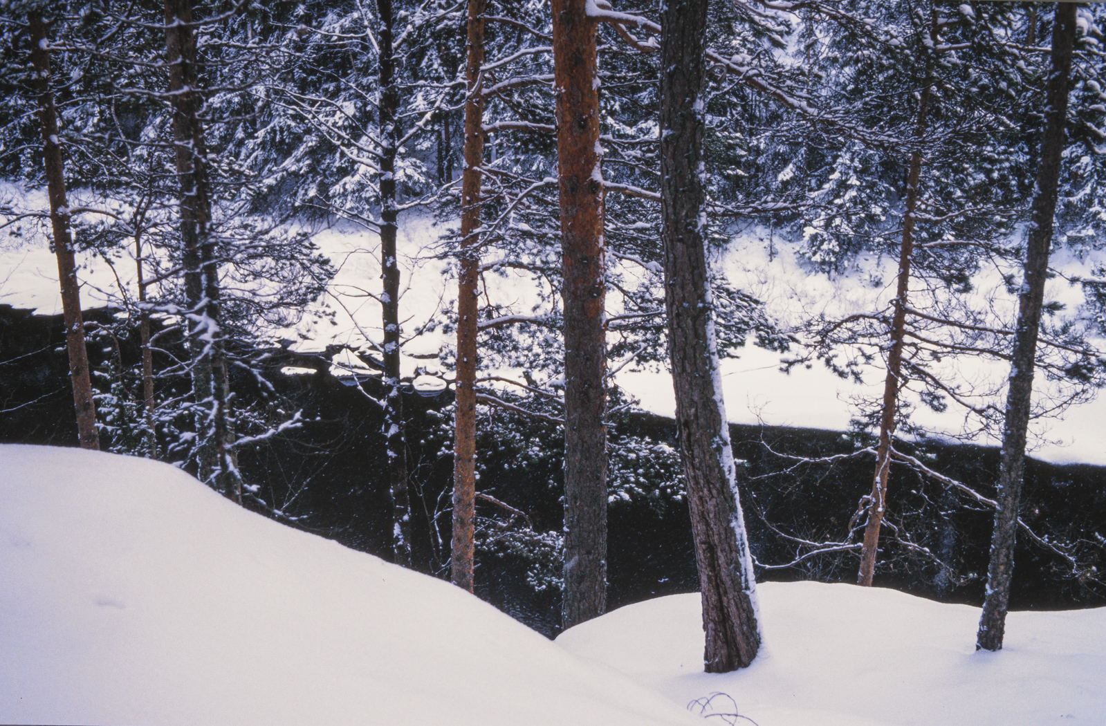 Onnea Kalevalanpäivänä
