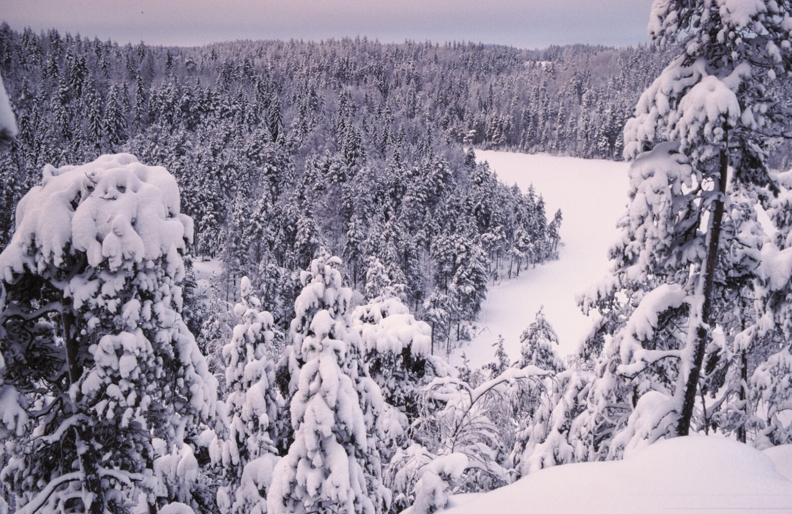 Onnea Kalevalanpäivänä