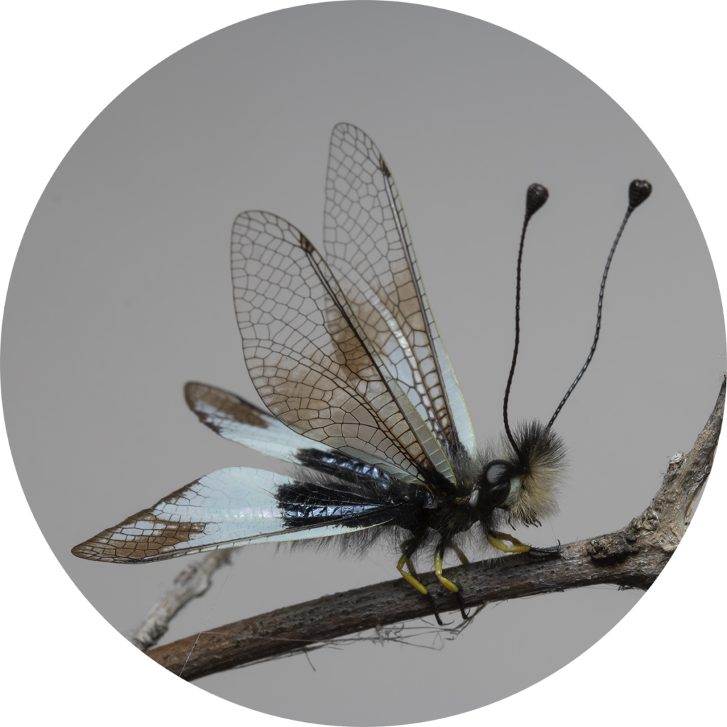 Yhdeksän muistoa Kroatiasta