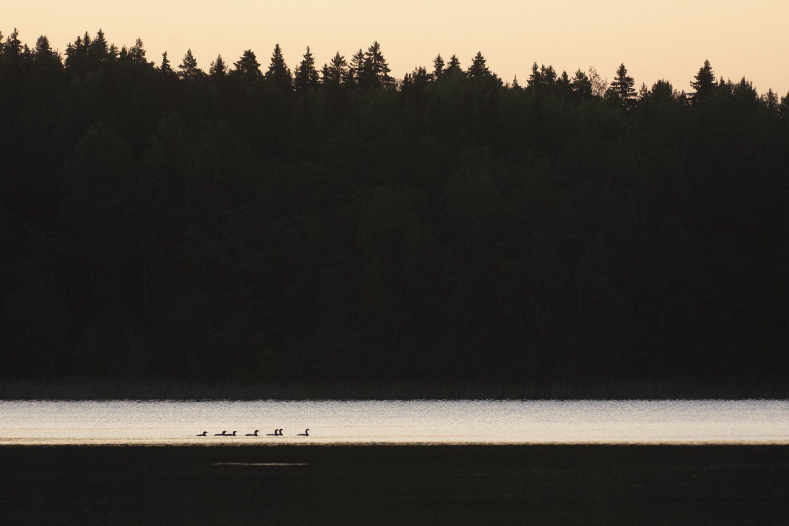 Juhannusyön tunnelma