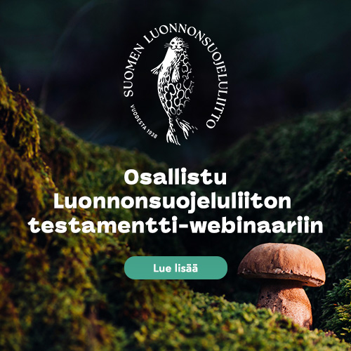 Suomen Luonto - Siili