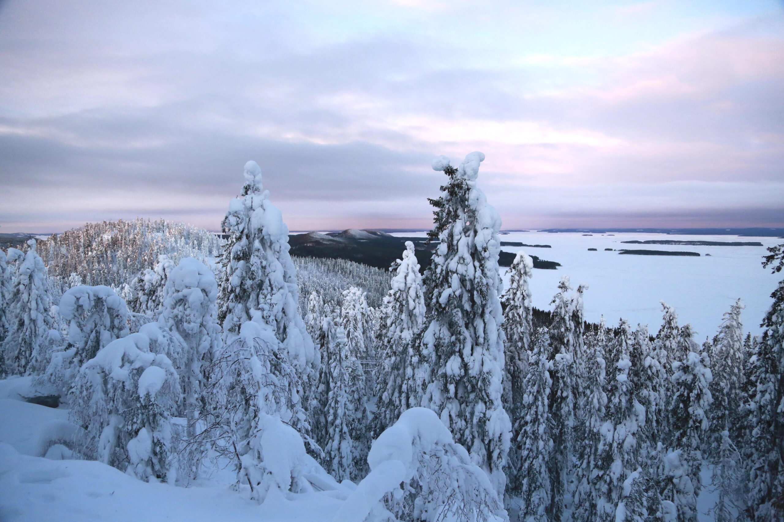 Suomen Luonto - Uhanalaiset-lajit