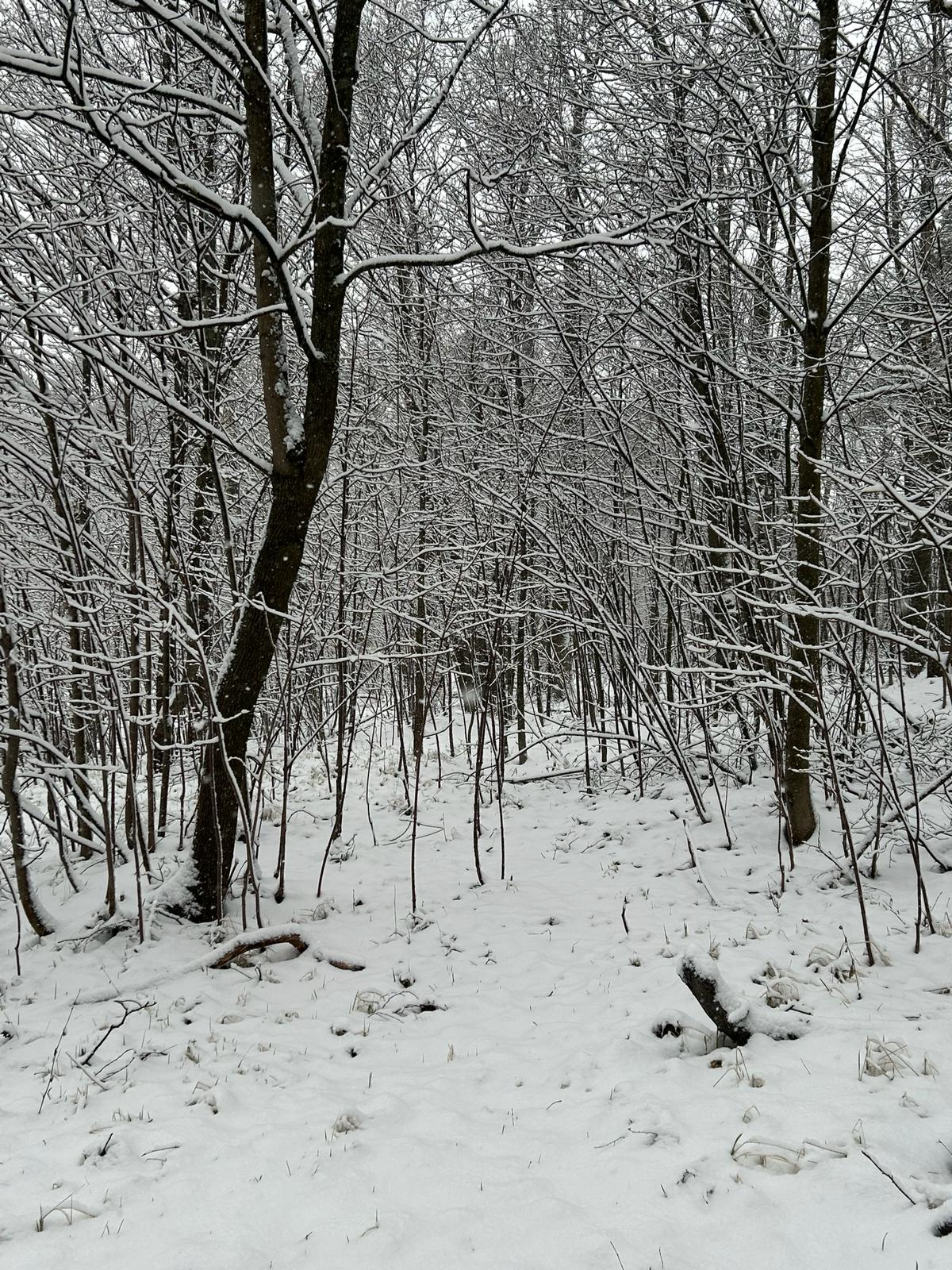 Terminen talvi oli 2000-luvun toiseksi pisin
