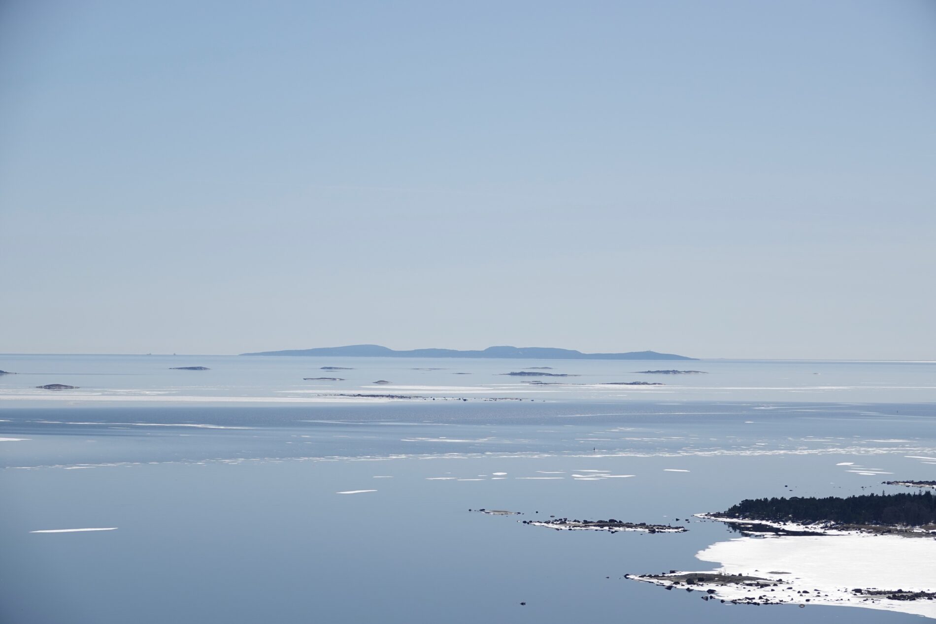 Suomen Luonto - Artikkelit