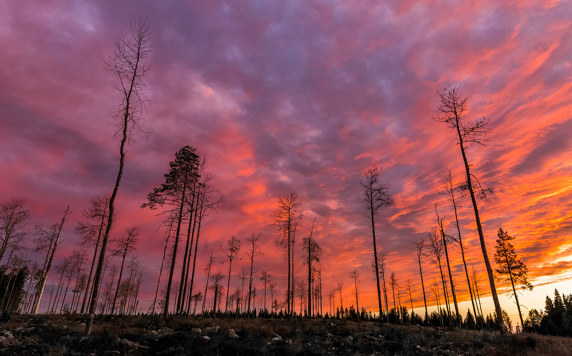 Suomen Luonto - Ilmasto