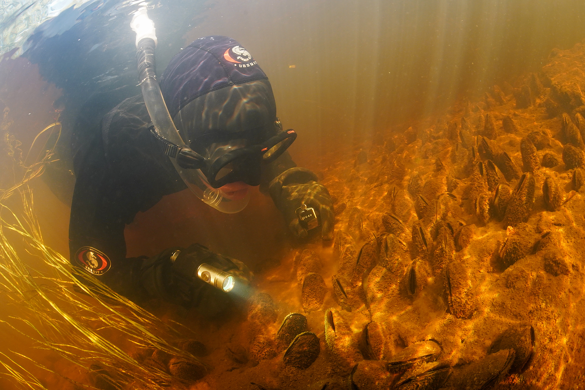 Suomen Luonto - Hukkajoki