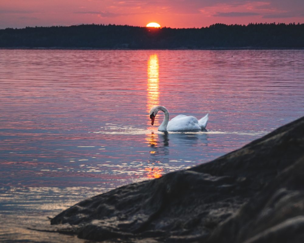 Heinäkuinen auringonlasku