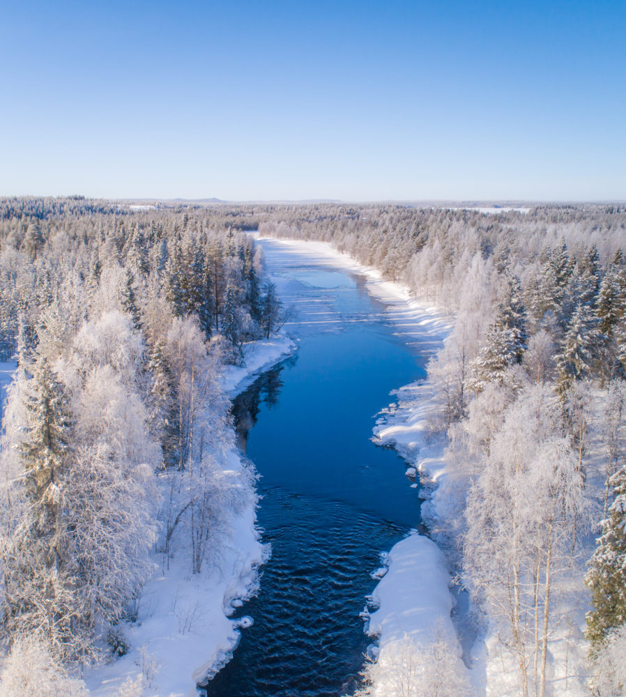Sininen ja valkoinen