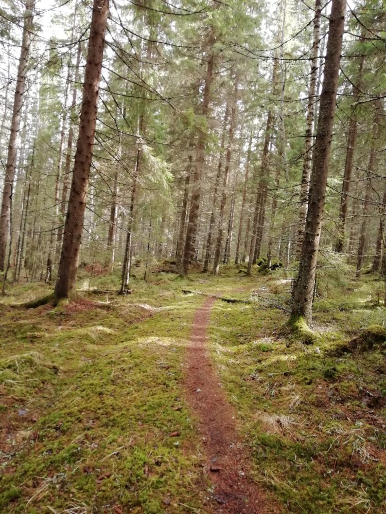 Polku