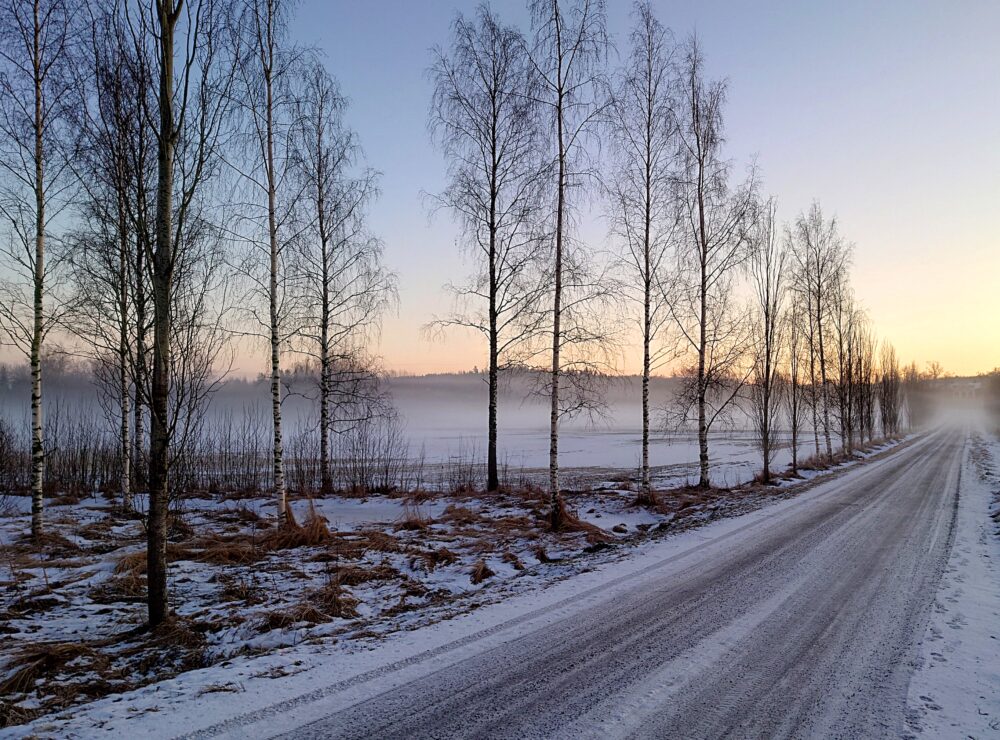 Pakkaspäivän sumua